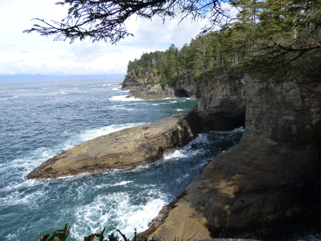 Explore the Olympic Peninsula's Three Biomes - The Naturalist Journeys Blog