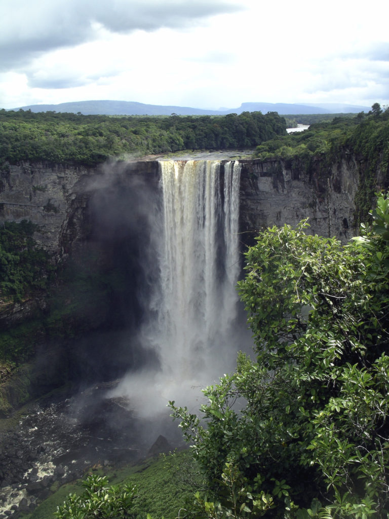 8 Reasons to Take a Guyana Nature Tour