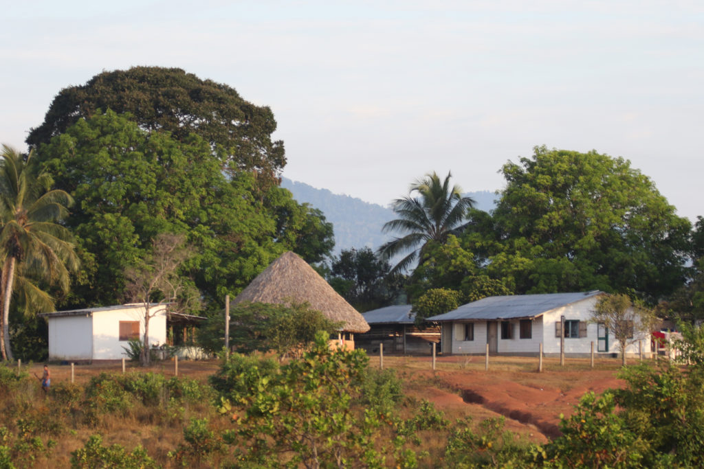 Surama Village - The Naturalist Journeys Blog