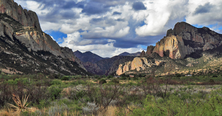 Explore the Sky Islands on our Winter Southeast Arizona Birding Tour