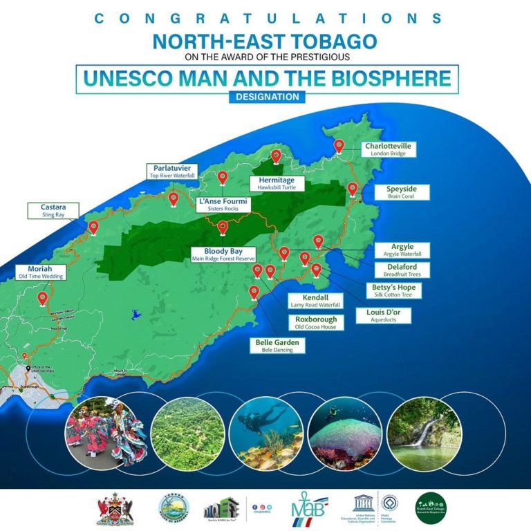 BIOSPHERE-ART-1024x1024 - The Naturalist Journeys Blog